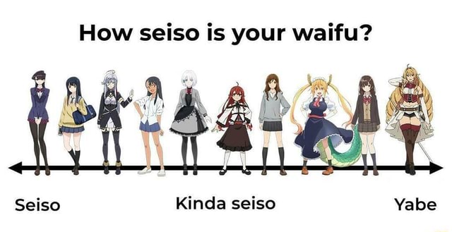 How seiso is your waifu? Kinda seiso - iFunny