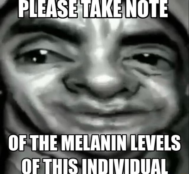 PLEASE TARE NOTE OF THE MELANIN LEVELS OF THIS INDIVIDUAL - iFunny