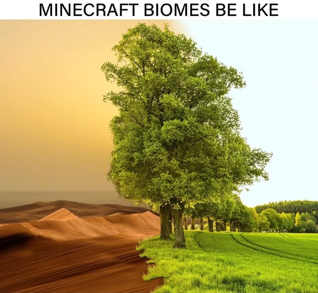 MINECRAFT BIOMES BE LIKE - iFunny