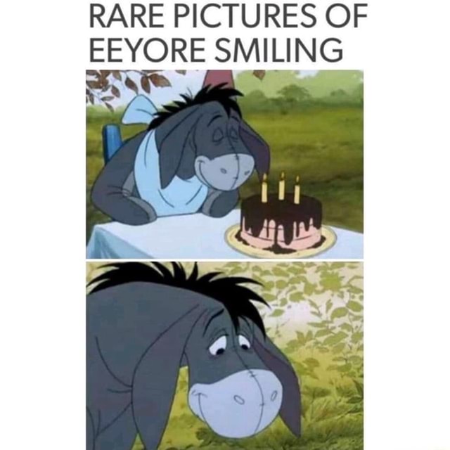 RARE PICTURES OF EEYORE SMILING - iFunny