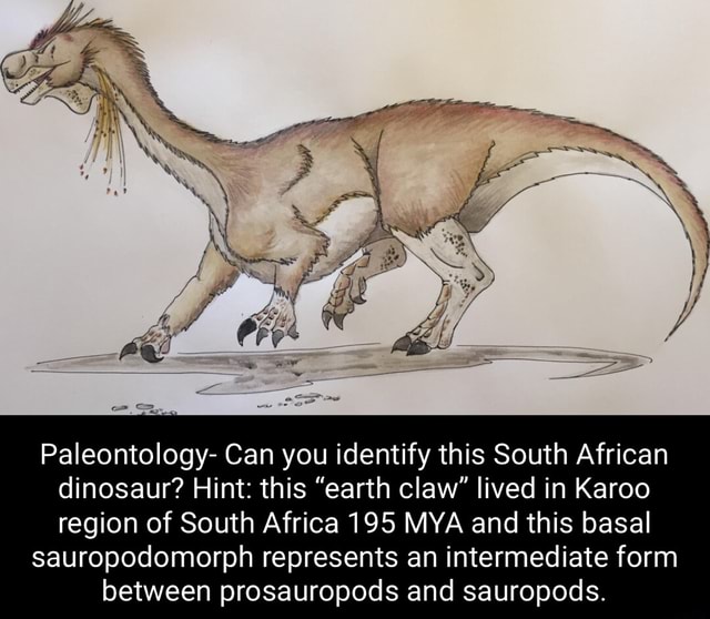 Paleontology- Can you identify this South African dinosaur? Hint: this ...