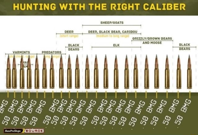 HUNTING WITH THE RIGHT CALIBER DEER DEER, GLACK GEAR, CARIBOU GEARS AND ...