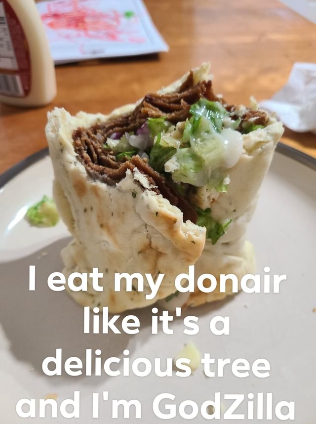 Eat my donair like it's a delicious tree and I'm GodZilla - iFunny