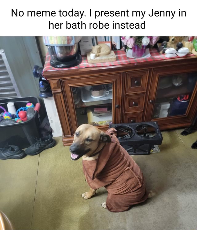 No meme today. I present my Jenny in her bath robe instead - iFunny