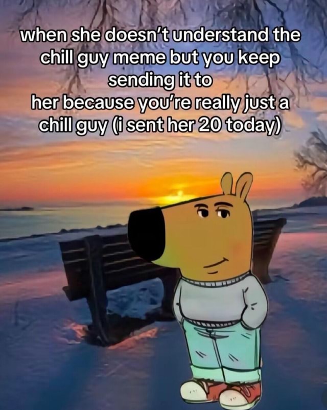 When she doesn't understand the chill guy meme but you keep sending It ...