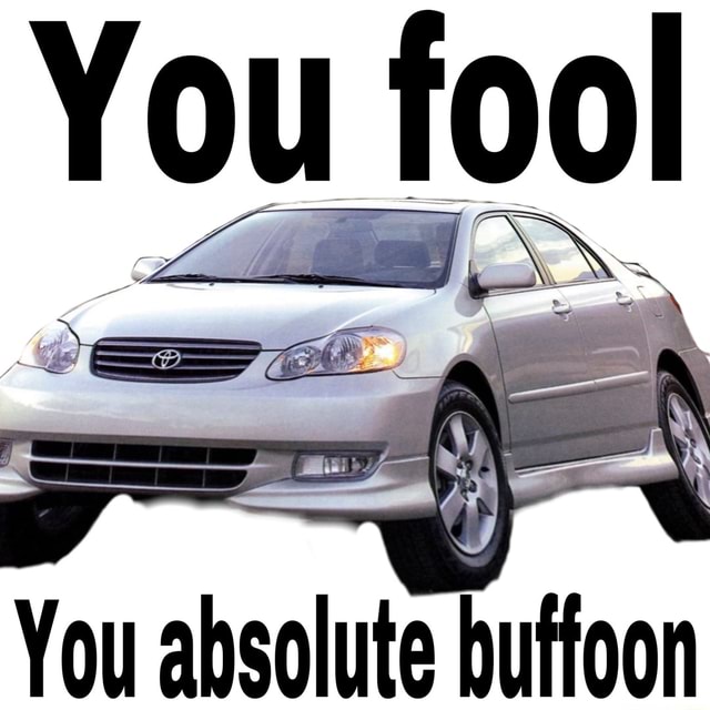 You absolute buffoon - iFunny