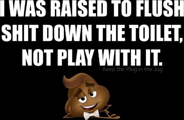 WAS RAISED FLUSH SHIT DOWN THE TOILET, NOT PLAY WITH IT. - iFunny