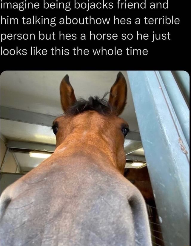 Imagine being bojacks triend and him talking abouthow hes a terrible ...