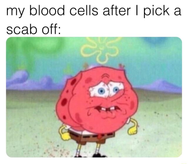 My blood cells after I pick a scab off: - iFunny
