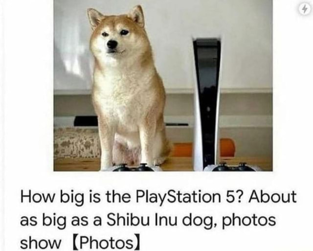 How big is the PlayStation 5? About as big as a Shibu Inu dog, photos ...
