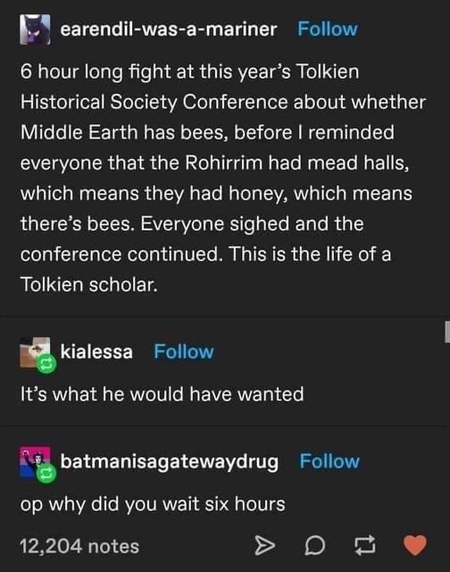 Earendil-was-a-mariner Follow 6 hour long fight at this year's Tolkien ...