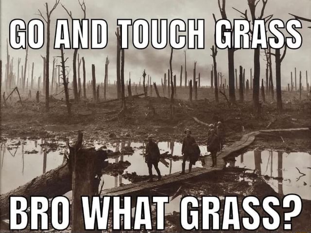 Go And Touch Grass As Bro What Grass Ifunny
