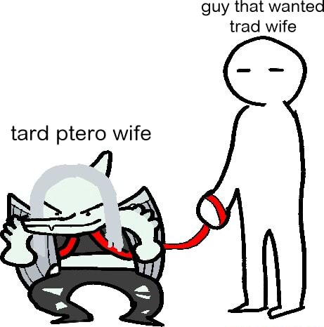 Guy that wanted trad wife - iFunny