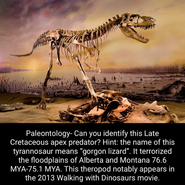 Paleontology- Can you identify this Late Cretaceous apex predator? Hint ...