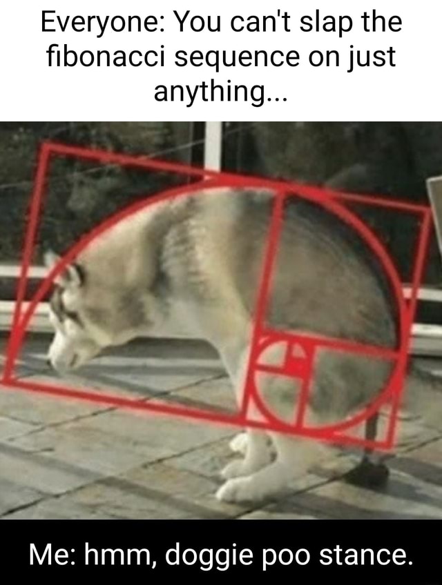 Everyone: You can't slap the fibonacci sequence on just anything... Me ...