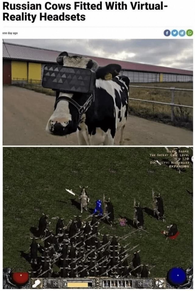 Russian Cows Fitted With Virtual- Reality Headsets now - iFunny