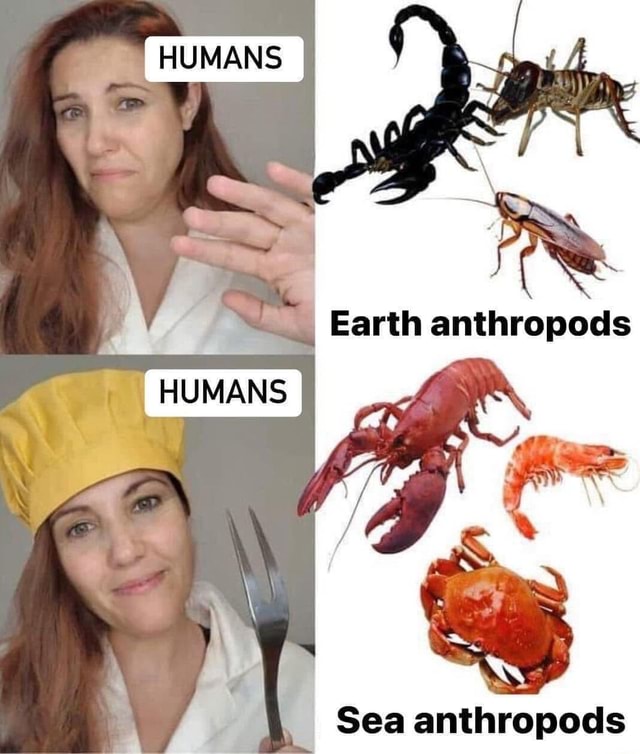 HUMANS Earth anthropods Sea anthropods HUMANS - iFunny