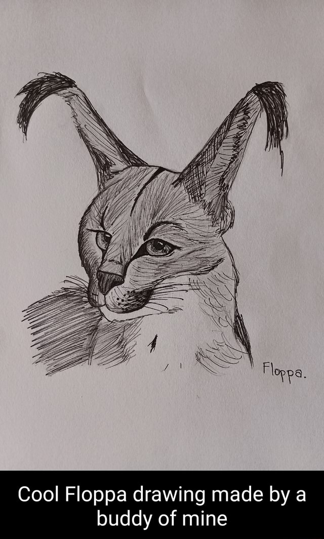 Cool Floppa drawing made by a buddy of mine - iFunny