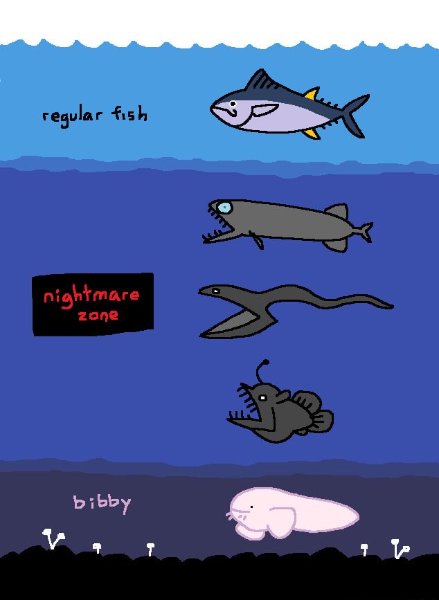 Rule - Rule regular fish nightmare zane - iFunny