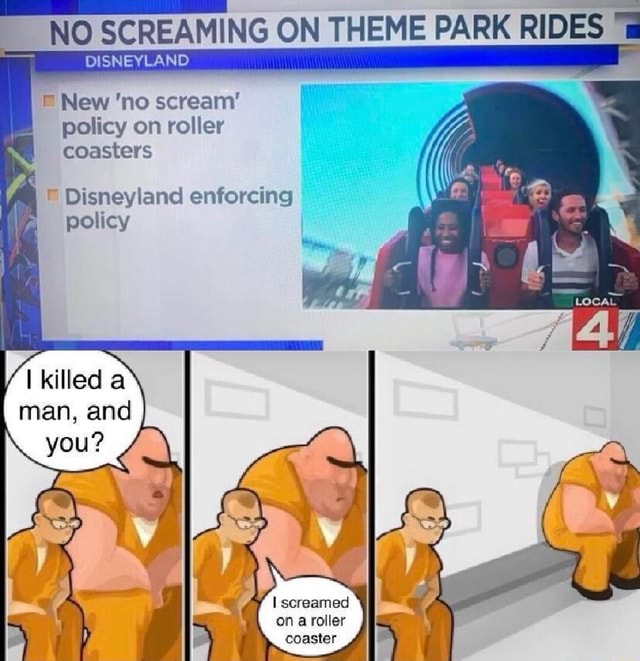 NO SCREAMING ON THEME PARK RIDES DISNEYLAND New 'no scream' policy on ...