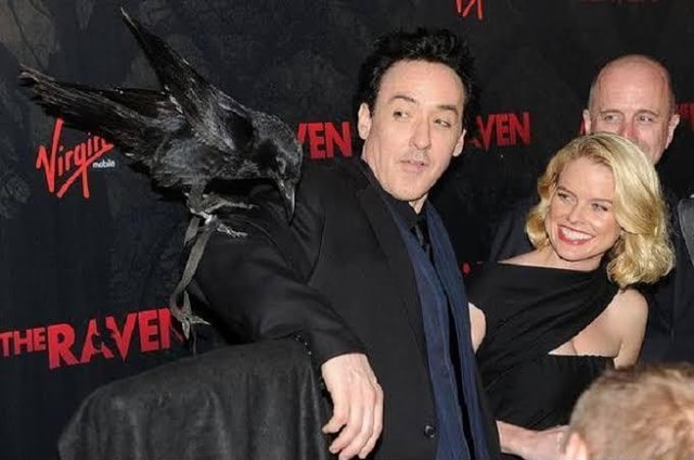 Happy 55th Birthday to John Cusack. Born in Illinois, the actor ...