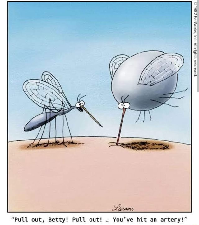 "Pull out, Betty! Pull out! You've hit an artery!" - iFunny