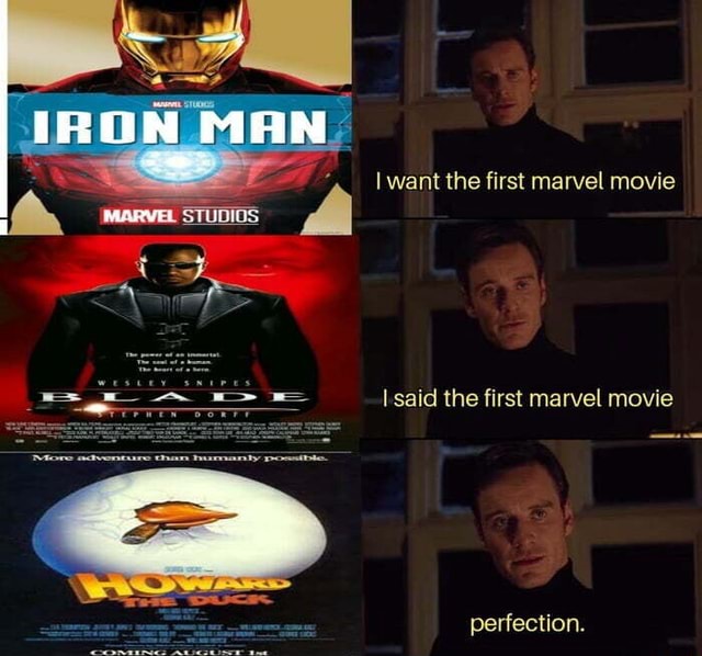 IRON MAN want he first marvel movie I said the first marvel movie AN ...