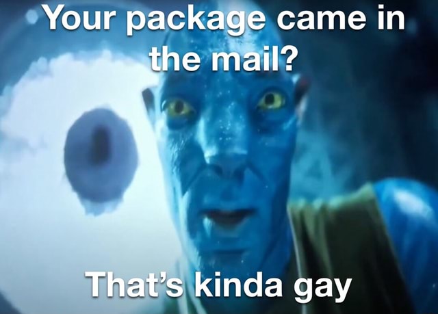 Your package came in the mail? That's kinda gay - iFunny