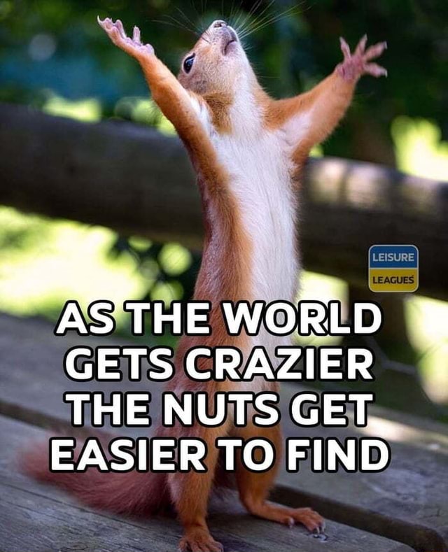 AS THE WORLD GETS CRAZIER THE NUTS GET EASIER TO FIND - iFunny