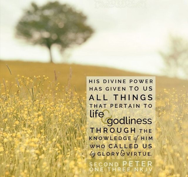 HIS DIVINE POWER HAS GIVEN TO US WHO CALLED US PETER RE ALL THINGS THAT ...
