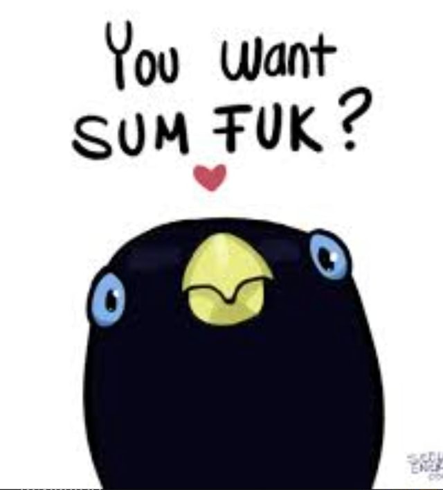 You Want SUM FUK ? - iFunny