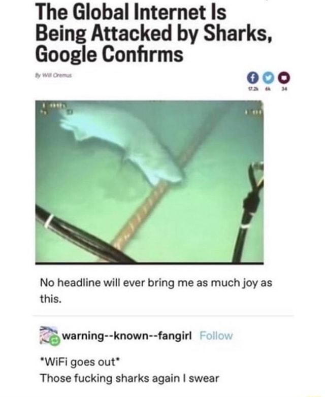 The Global Internet Is Being Attacked by Sharks, Google Confirms No ...
