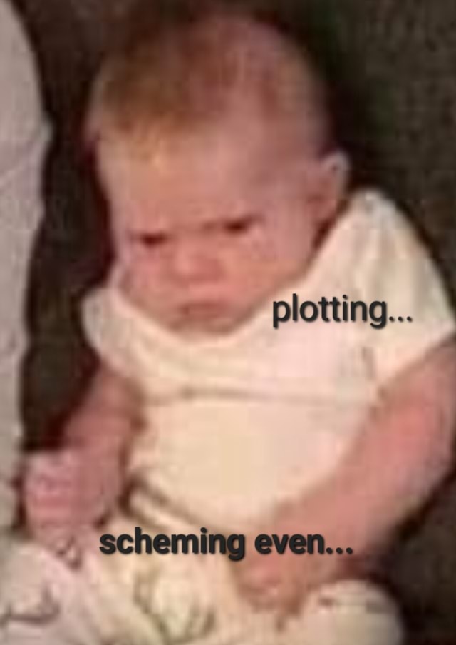 Plotting... scheming even. - iFunny