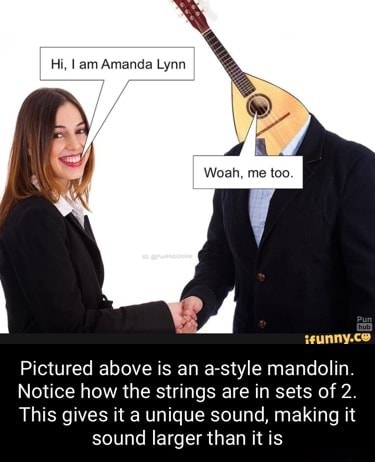 Pictured above is an style mandolin. Notice how the strings are in sets ...