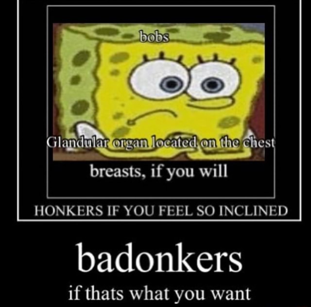 Colo) organ breasts, if you will HONKERS IF YOU FEEL SO INCLINED ...