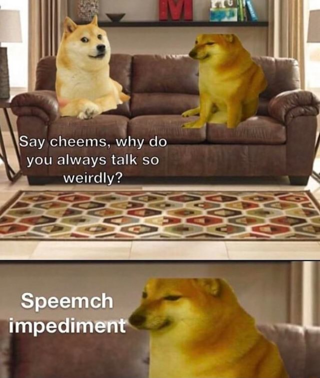 Ay cheems, why do you always talk so - iFunny