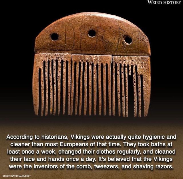 WEIRD HISTORY According to historians, Vikings were actually quite ...