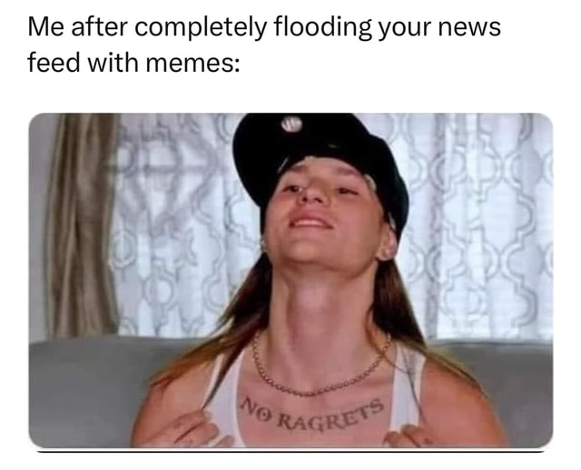 Me after completely flooding your news feed with memes: - America’s ...