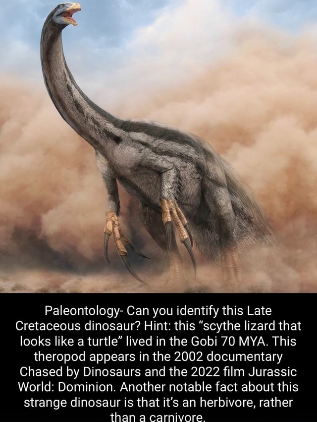 Paleontology- Can you identify this Late Cretaceous dinosaur? Hint ...