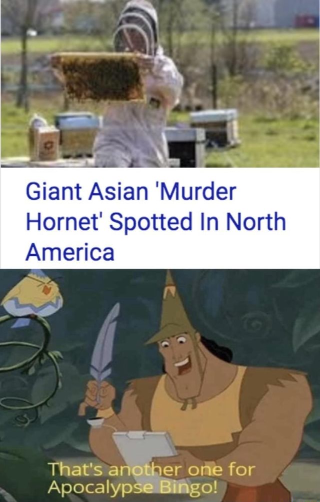 Hornet' Spotted In North America That's another ore for Apocalypse ...