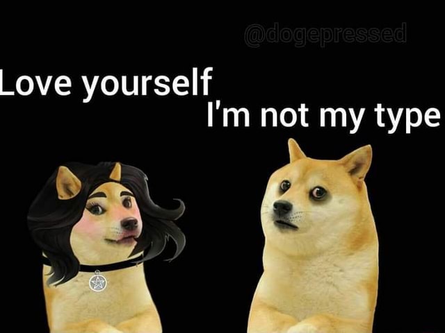 Love yourself I'm not my type - iFunny