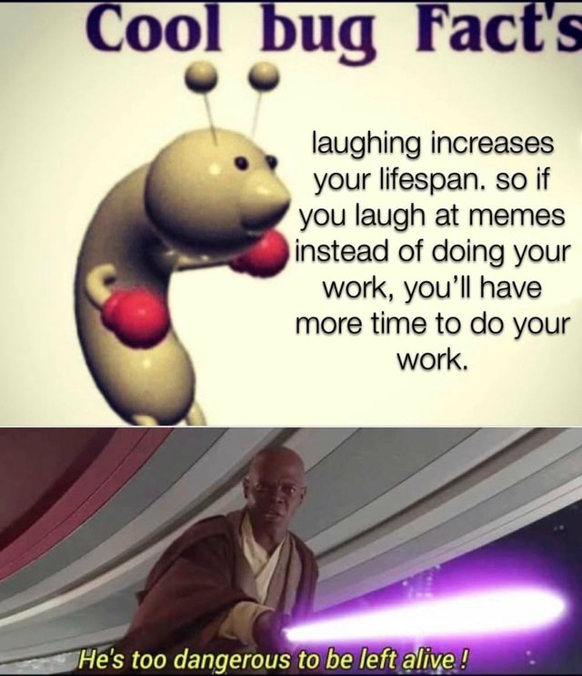 Cool bug Facts laughing increases your lifespan. so if you laugh at ...
