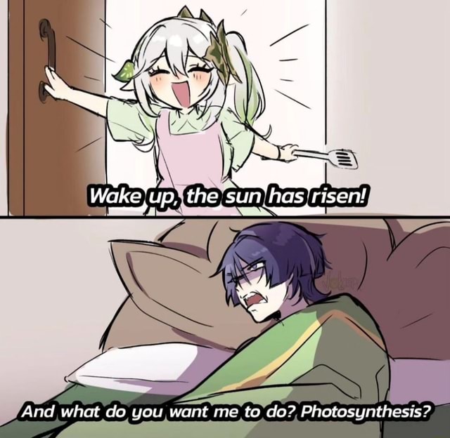 "risen! Wake up, the sun has risen! And what do you want me to do? Photosynthesis? - iFunny