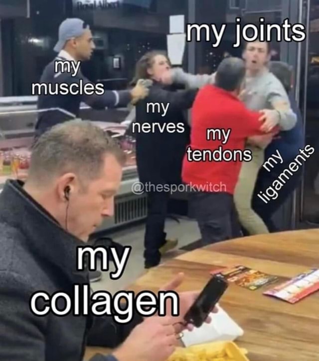 My muscles my joints my Nerves my tendons Dihesporkwen collagen - iFunny