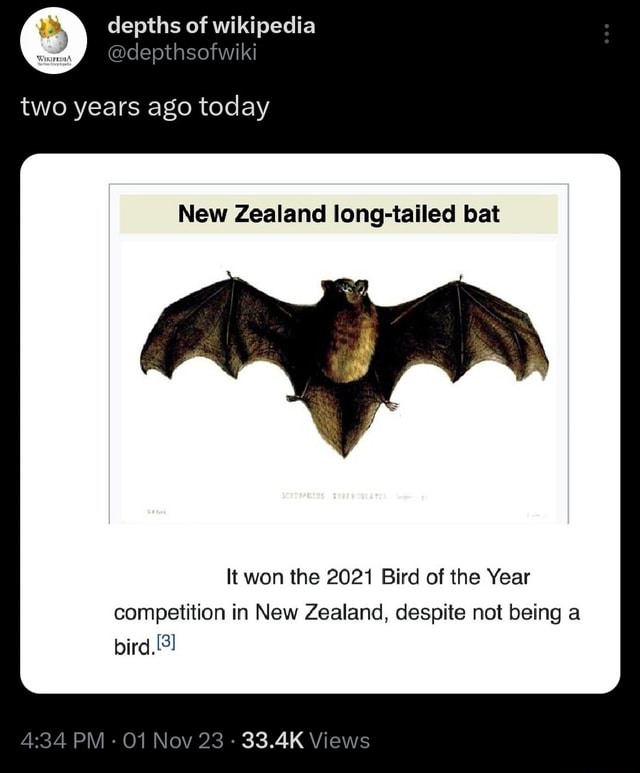 Depths of wikipedia two years ago today New Zealand long-tailed bat It ...