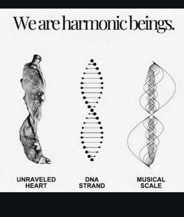 Ry ROSS SRD MUSICAL SCALE e - DNA STRAND Weare harmonic beings ...
