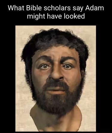 What Bible scholars say Adam might have looked - iFunny