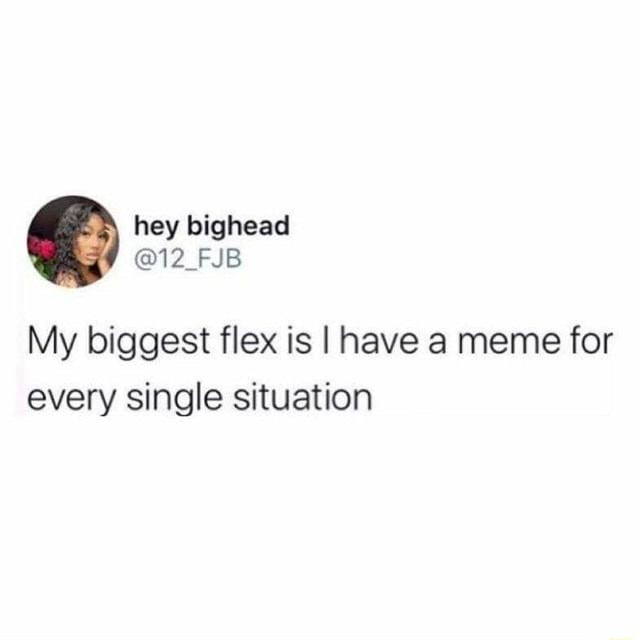 My biggest flex is I have a meme for every single situation - iFunny