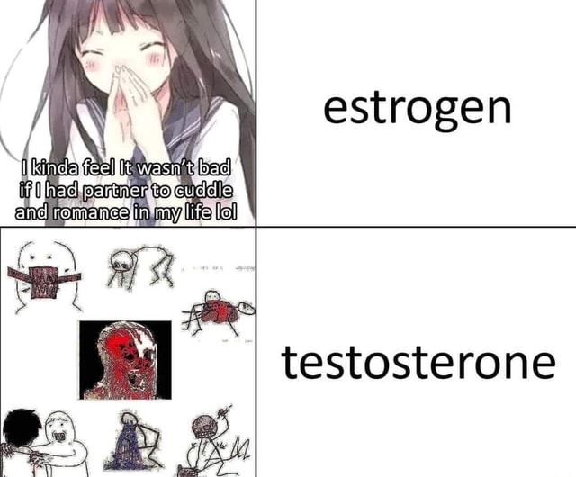 Estrogen I testosterone - iFunny