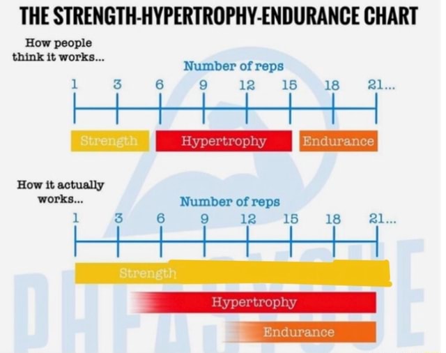 THE STRENGTH-HYPERTROPHY-ENDURANCE CHART How people think it works ...
